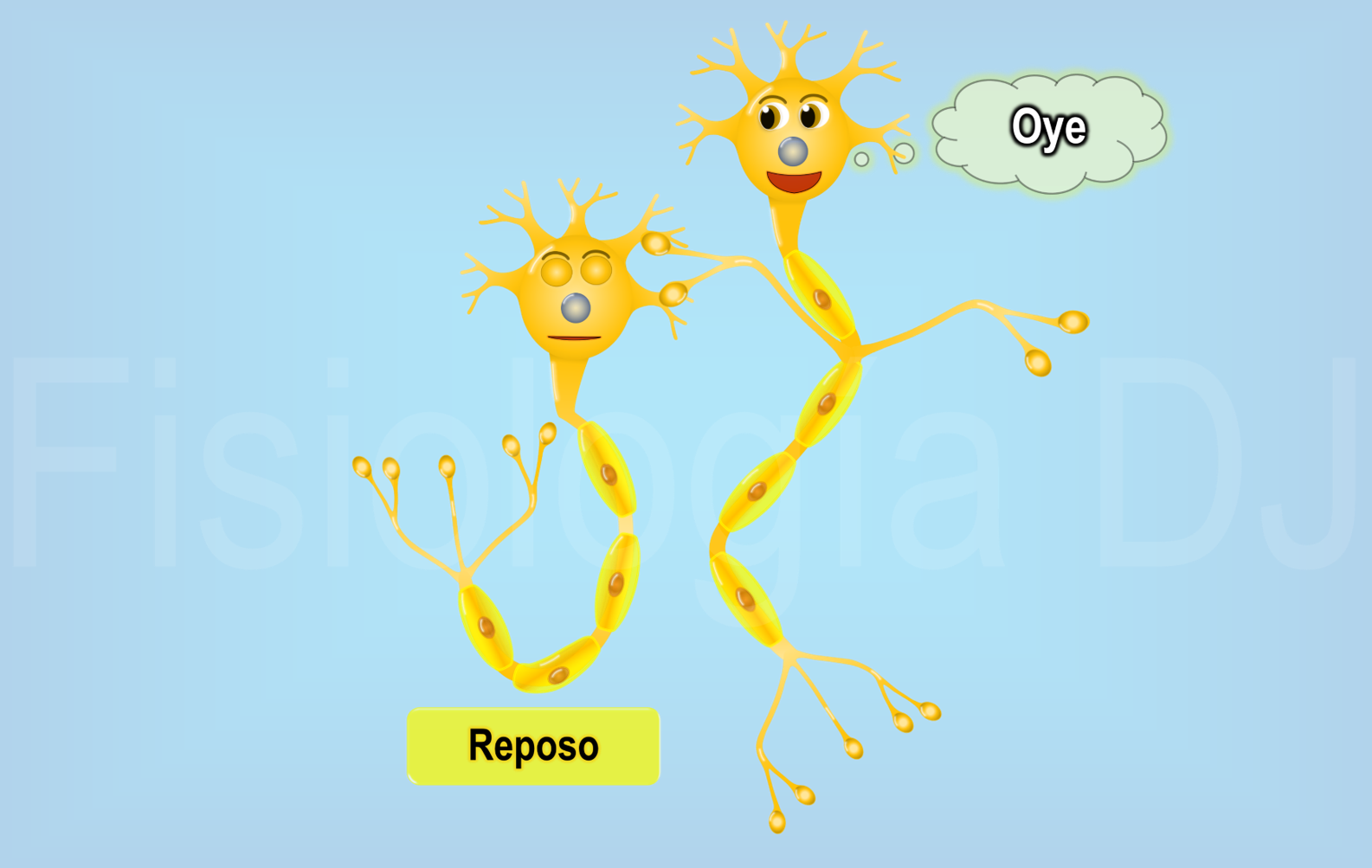 Que Es El Estado De Reposo - chefli