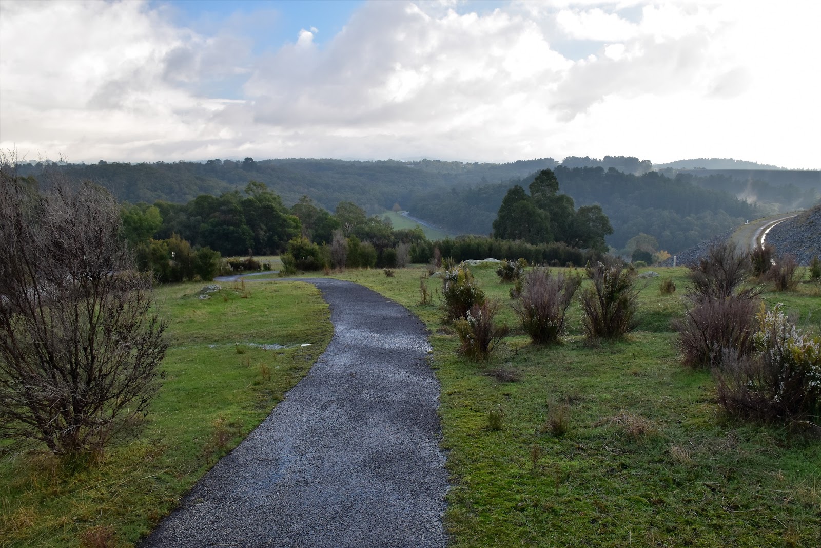 Goin' Feral One Day At A Time: Cardinia Reservoir Park Walk - June 2019