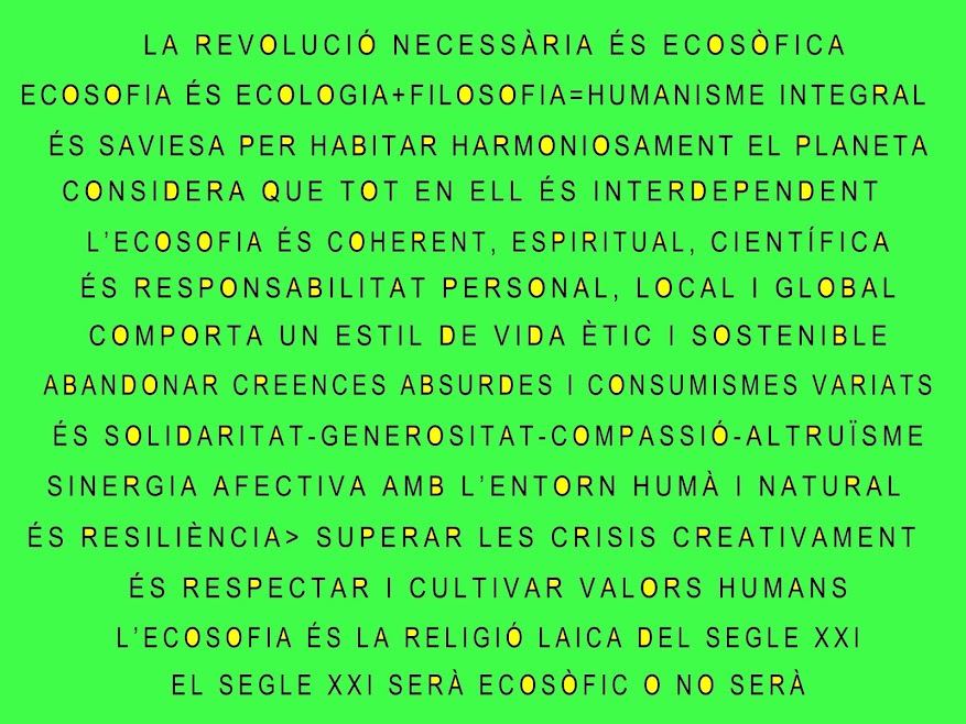 TERRAÍNDIA: CARTA DE LA TERRA+