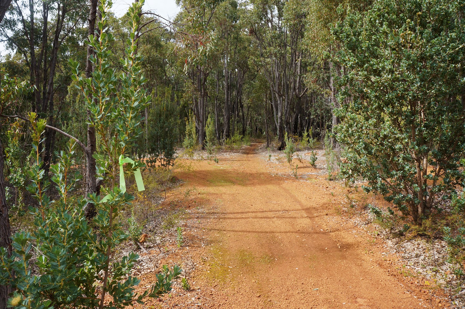 Wungong Gorge Walk GPS Route (Wungong Regional Park) ~ The Long Way's ...