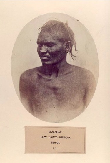 VOICE OF THARUS: 2019