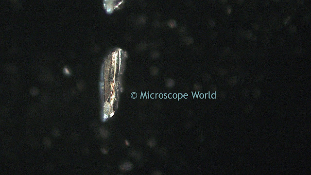 Microscope World Blog: Ore Under the Microscope
