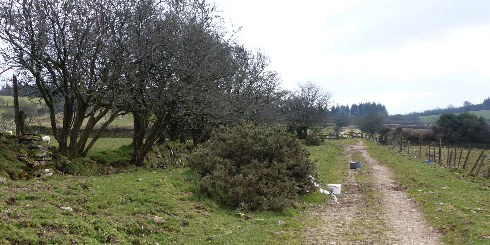 My Dartmoor Walks: Sunday 24th February The Walkhampton Plaques