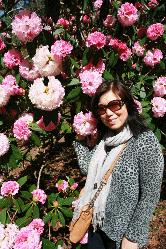 BEN TODICA: Grădinile Naționale Rhododendron din Munții Dandenongului ...