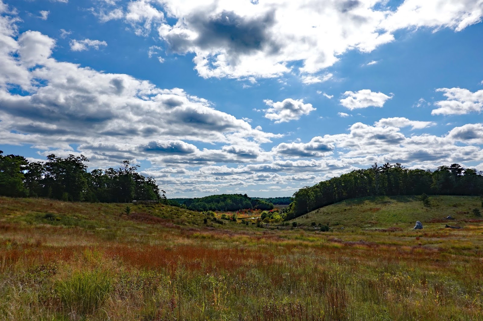 Joe's Retirement Blog: Tidmarsh Wildlife Sanctuary, Manomet, Plymouth ...