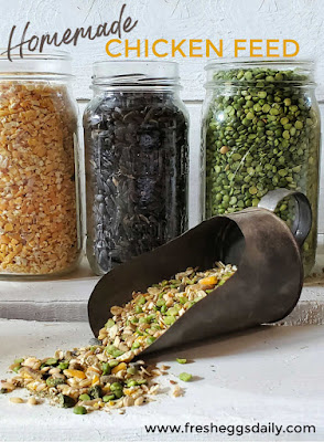 Homemade Chicken Layer Feed | Fresh Eggs Daily® | Bloglovin’
