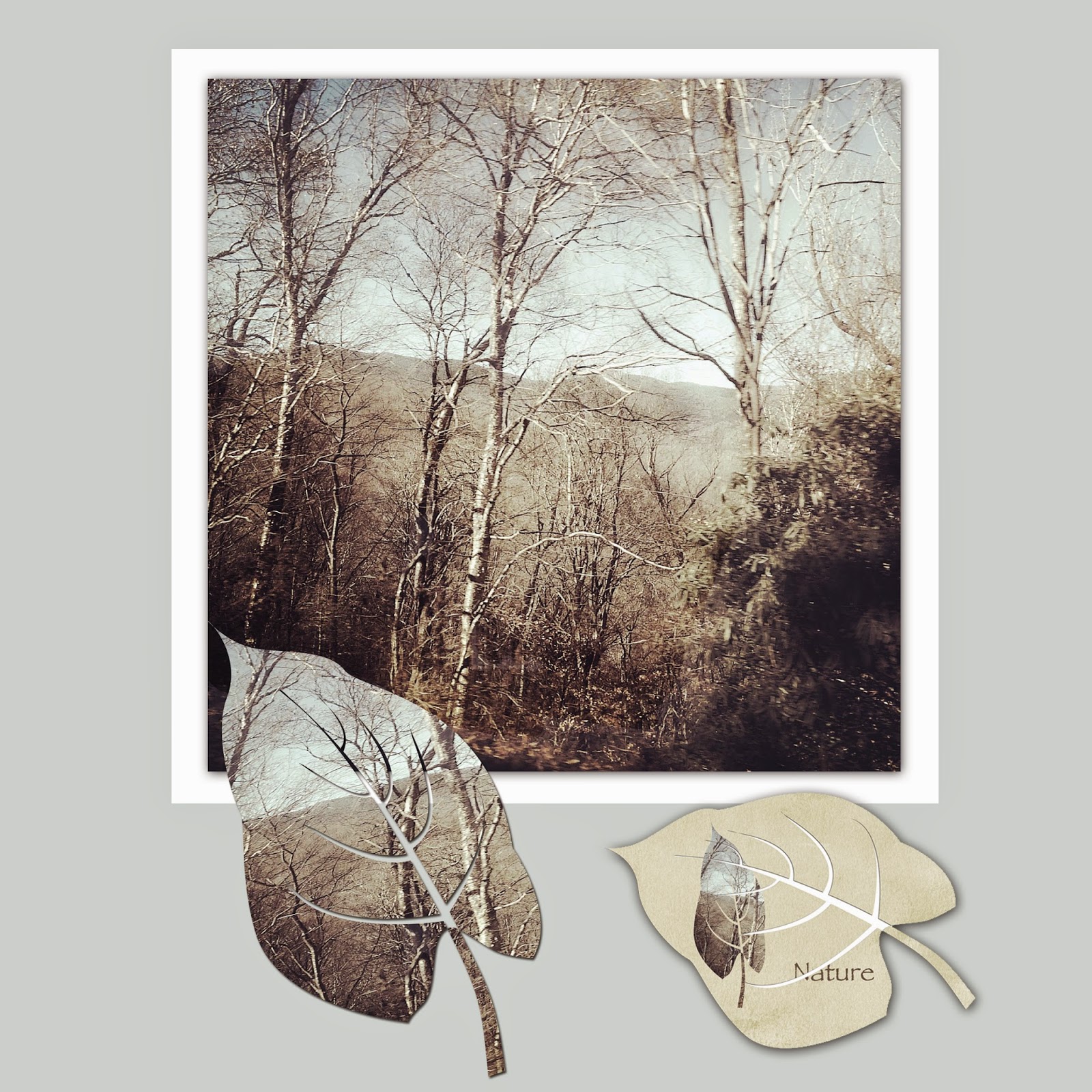 A SCRAPBOOK OF INSPIRATION: Nature