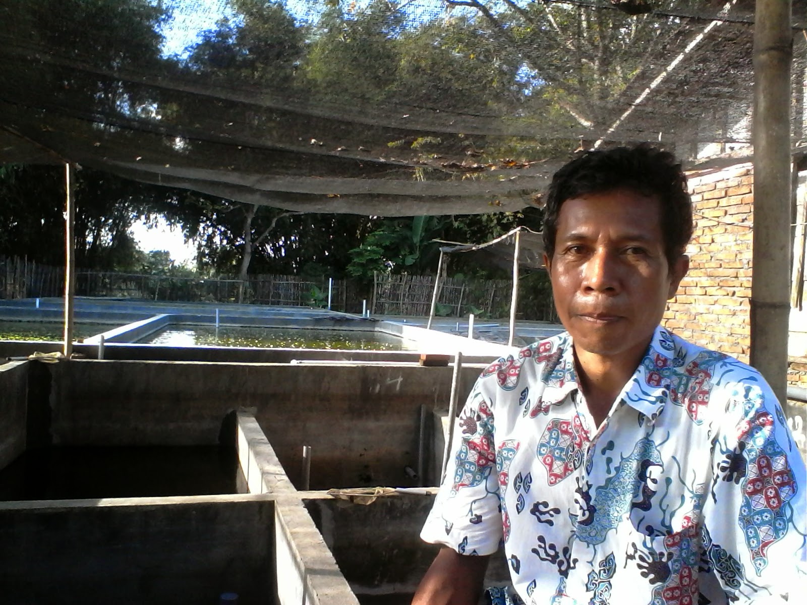 Sukses dengan Budidaya ikan Air Tawar