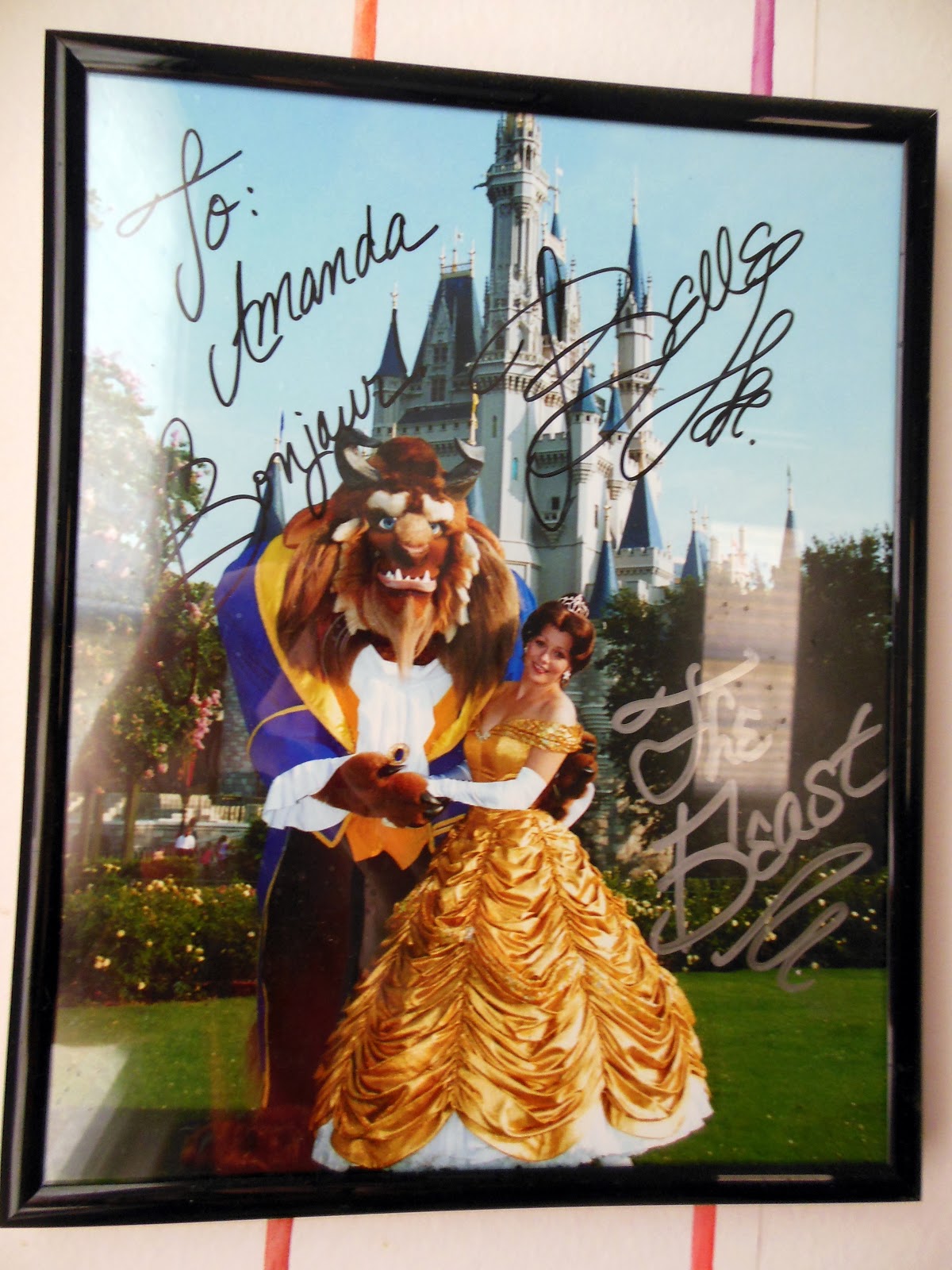 Imperfectly Possible: How to Get an Autographed Photo from a Disney ...