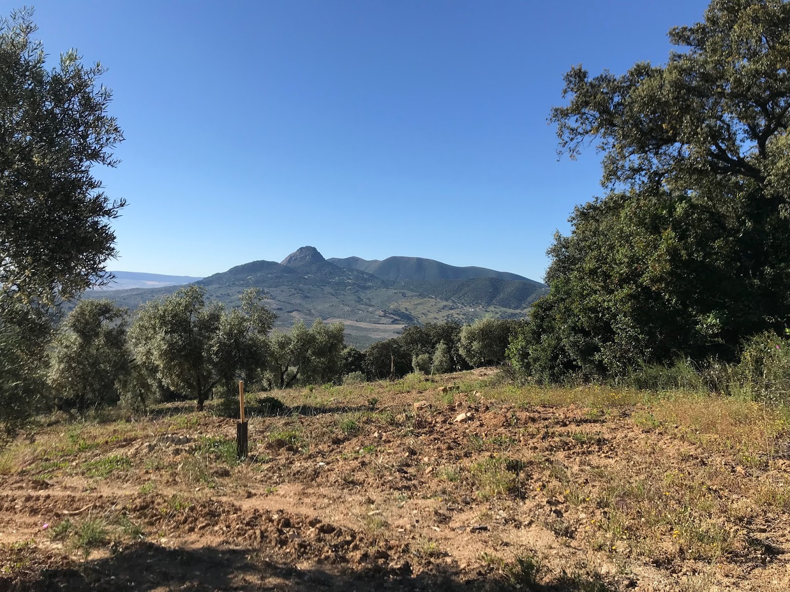 Rutascota177: Mojón Gordo y el extremo meridional de la Puebla ...