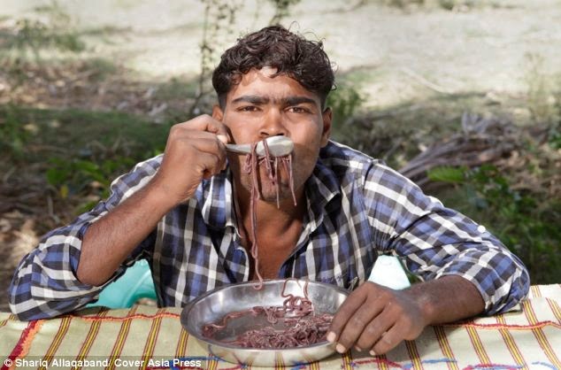 Natural History, Creation and Religious Conflicts: Earthworms play “a ...