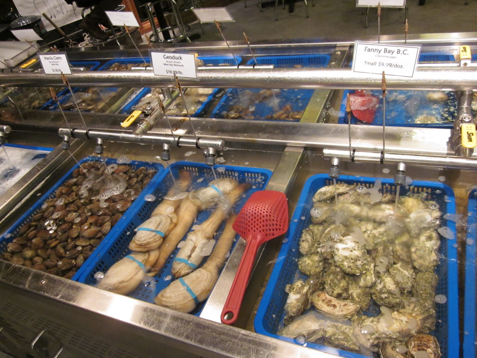 San Jose Food Blog: Seattle 2011: Taylor Shellfish Farm - Ristorante ...
