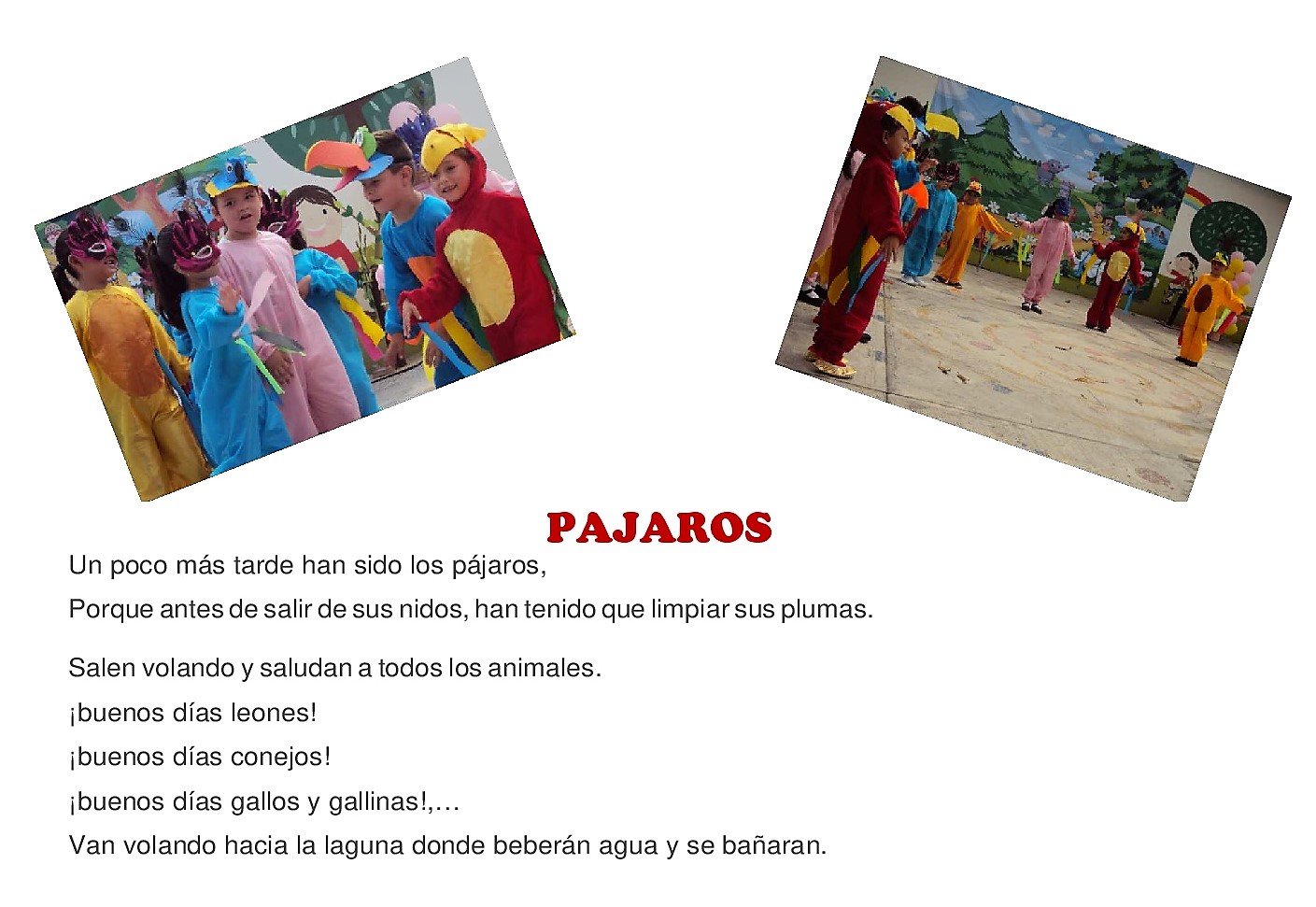 Carnaval de los animales ~ Expresión y apreciación artistica