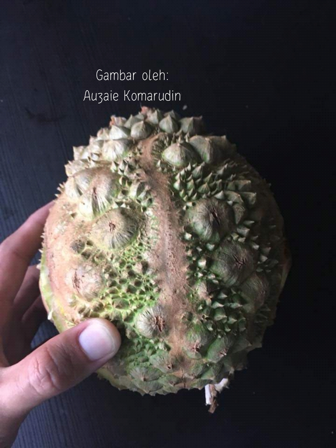 Nur Hafizah Sharudin's Blog: April 2020