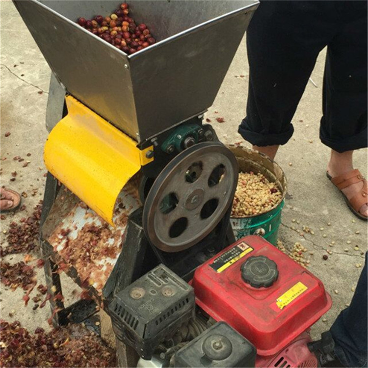 Zhengzhou AIX machinery: popular use hand push fresh coffee pulper machine