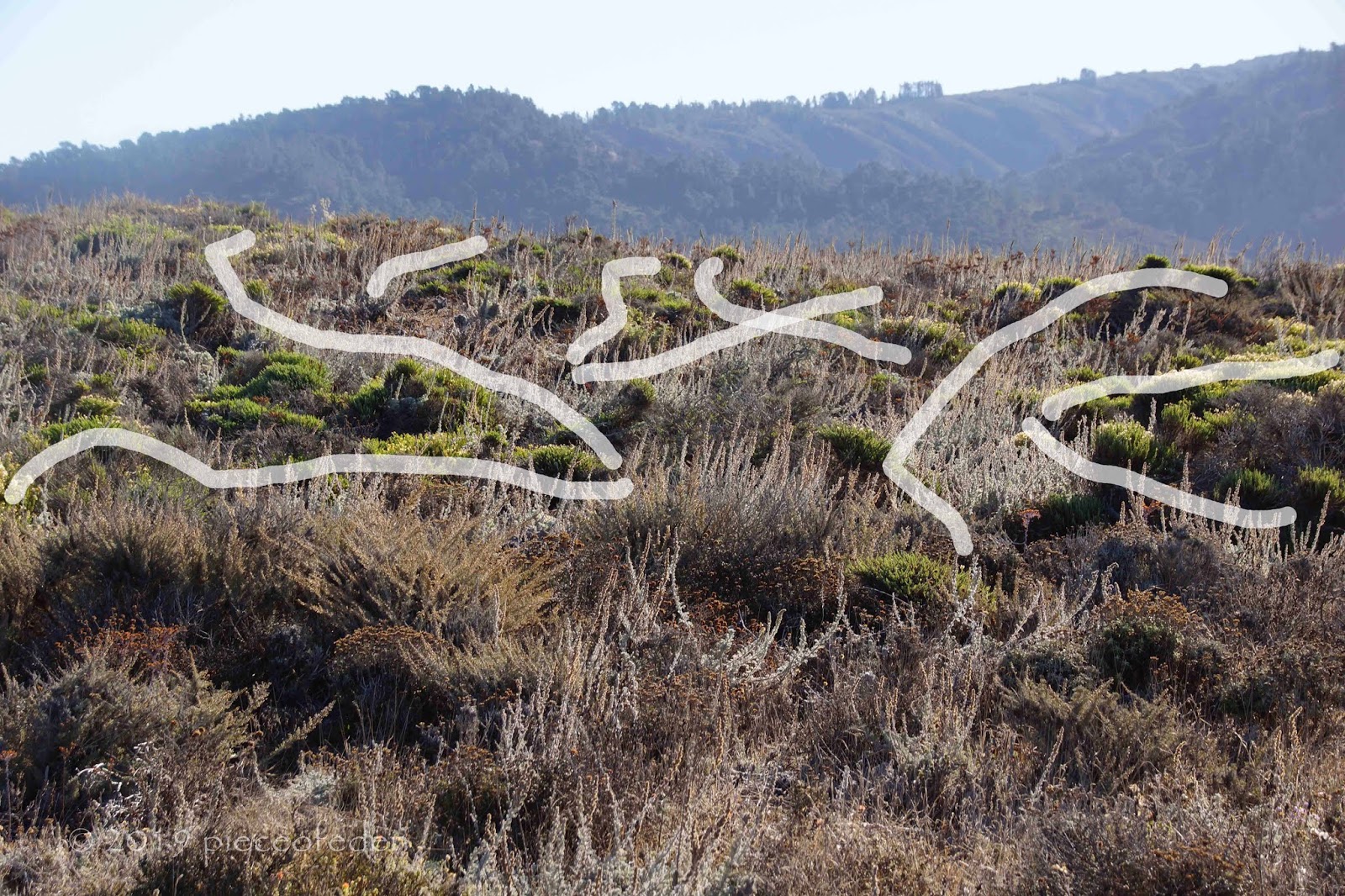 Pondering A Natural Slope