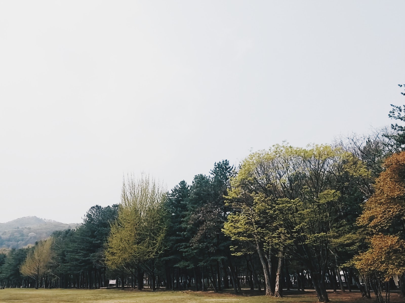KOREA VACAY : WARM SPRING AT NAMI ISLAND - LEVINAPANGESTU