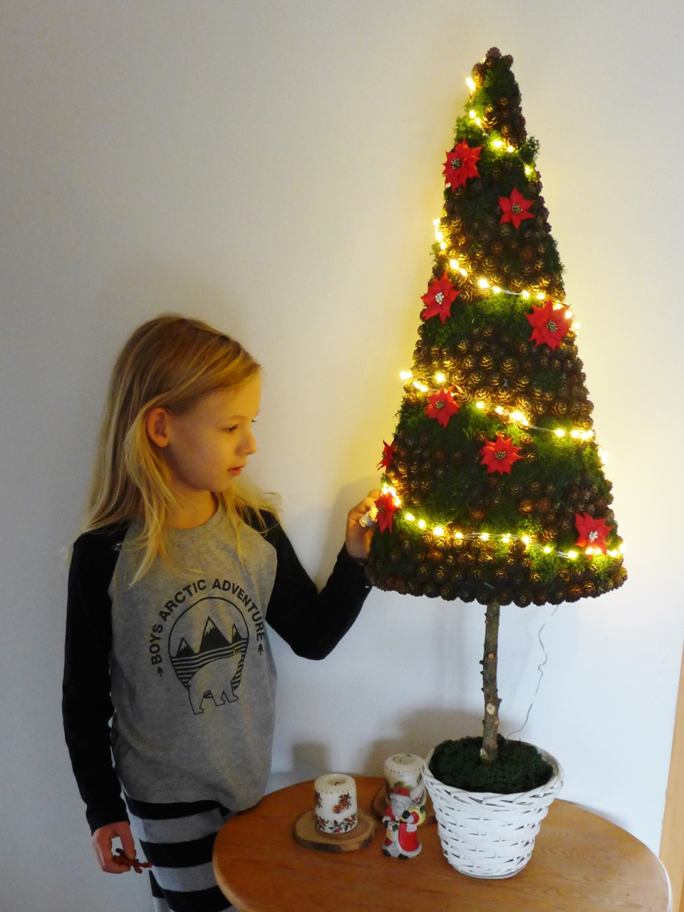 MiniArt - hand made with love: Choineczka z szyszek i mchu / Christmas ...