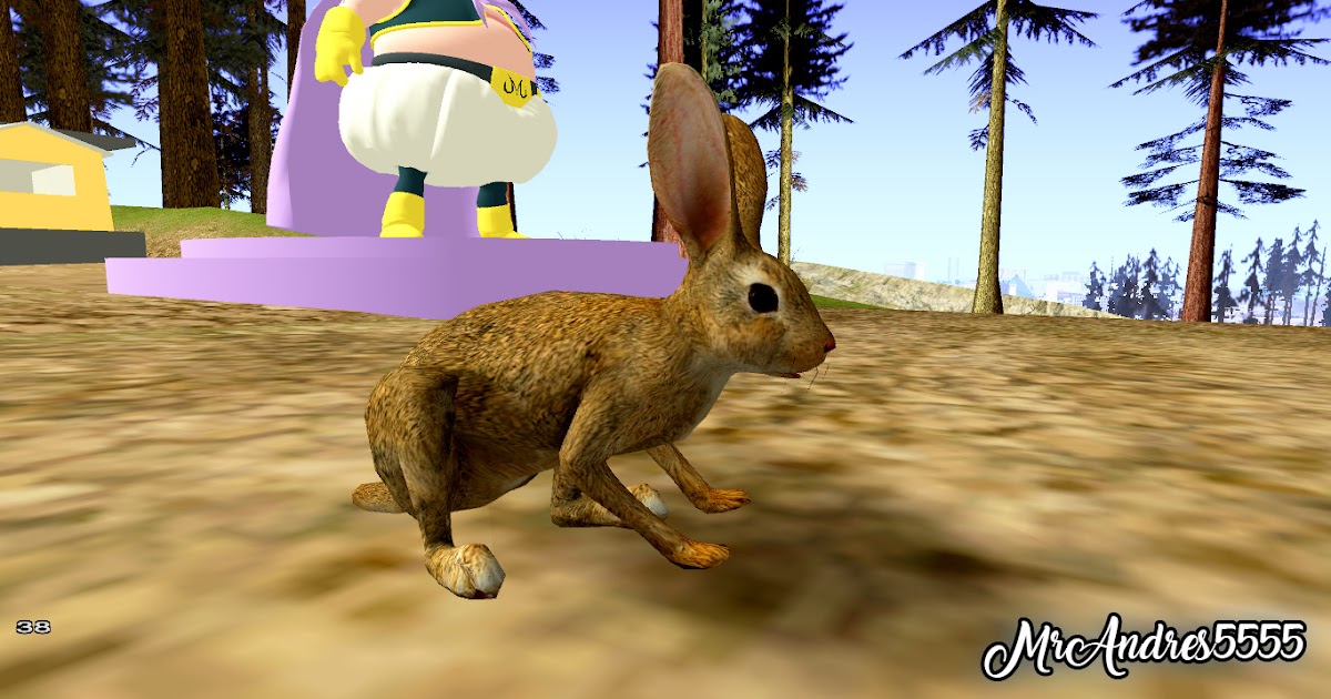 MrAndres5555: Rabbit