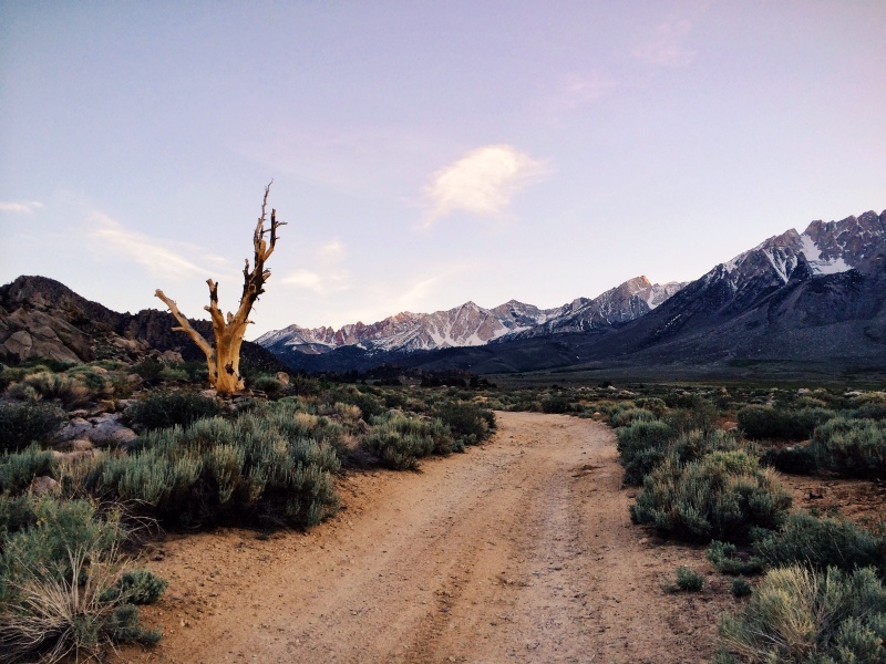 daily timewaster: Friday Open Road