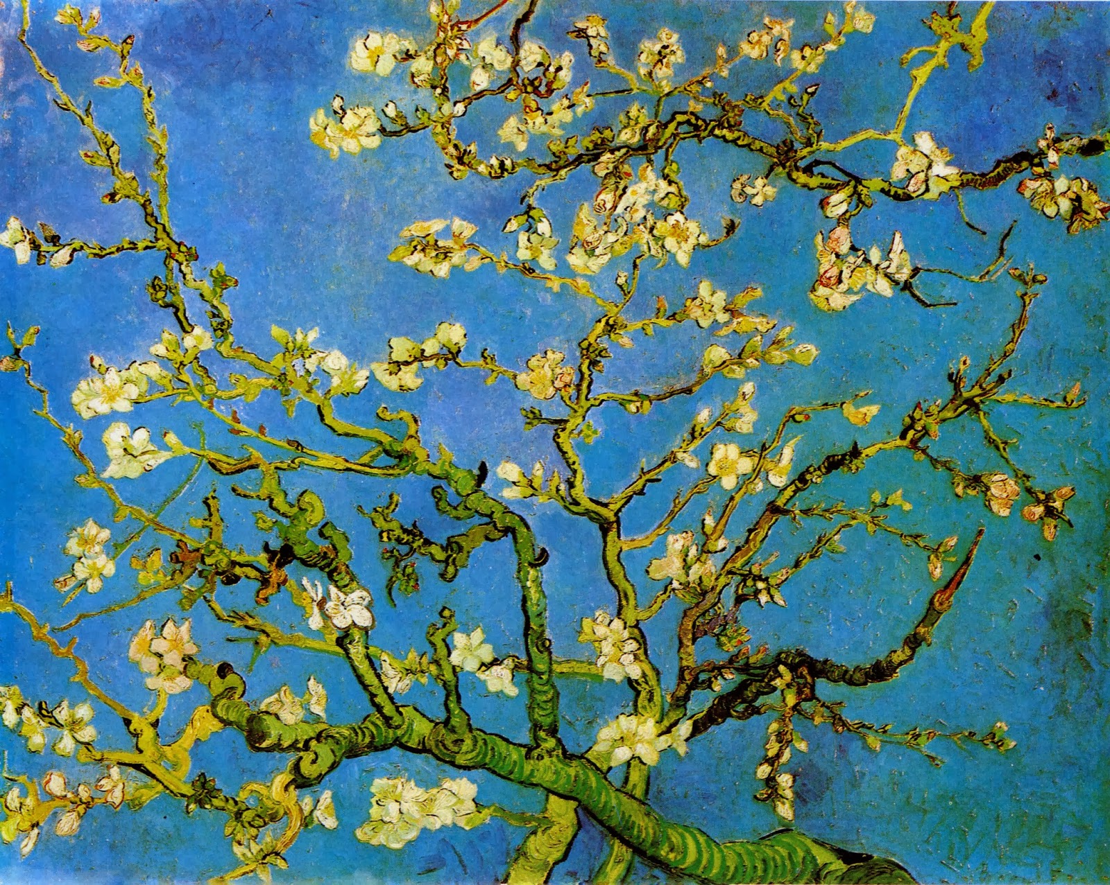 Vincent van gogh 238 ~ High resolution Art photos museum quality images