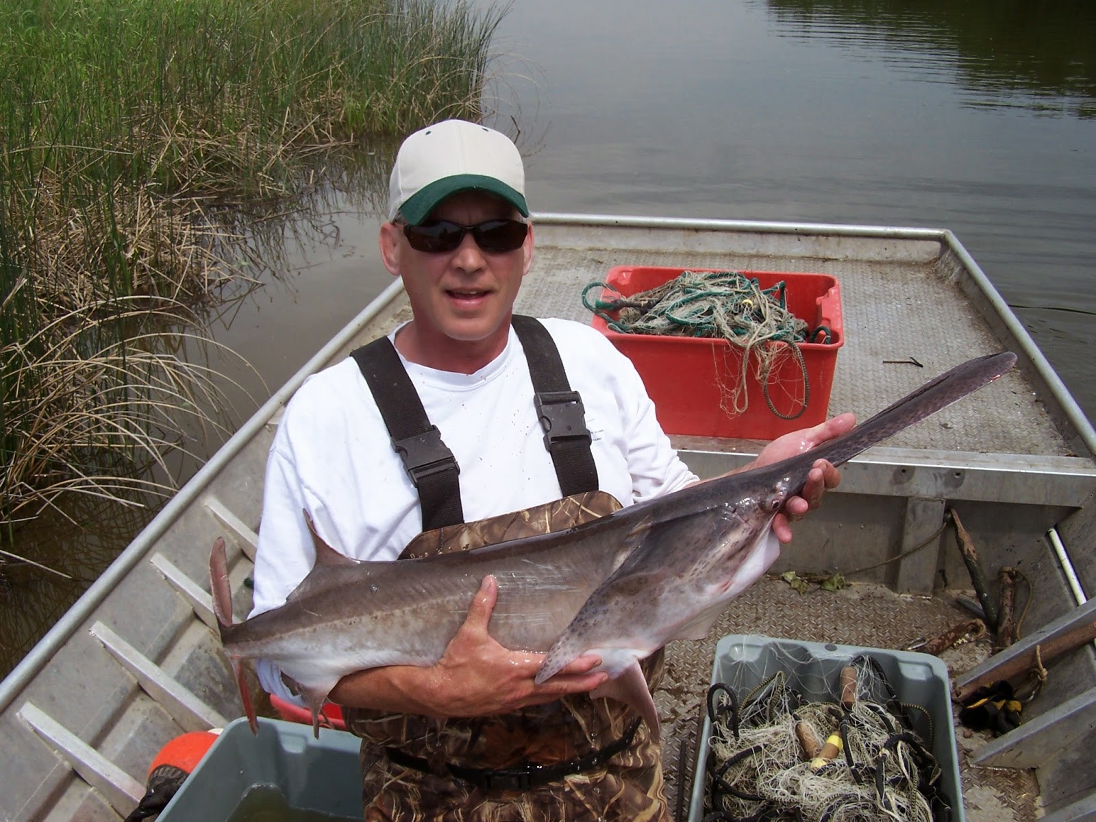 Take it Outside: Fish Iowa!: Iowa's Largest Fish: Paddlefish