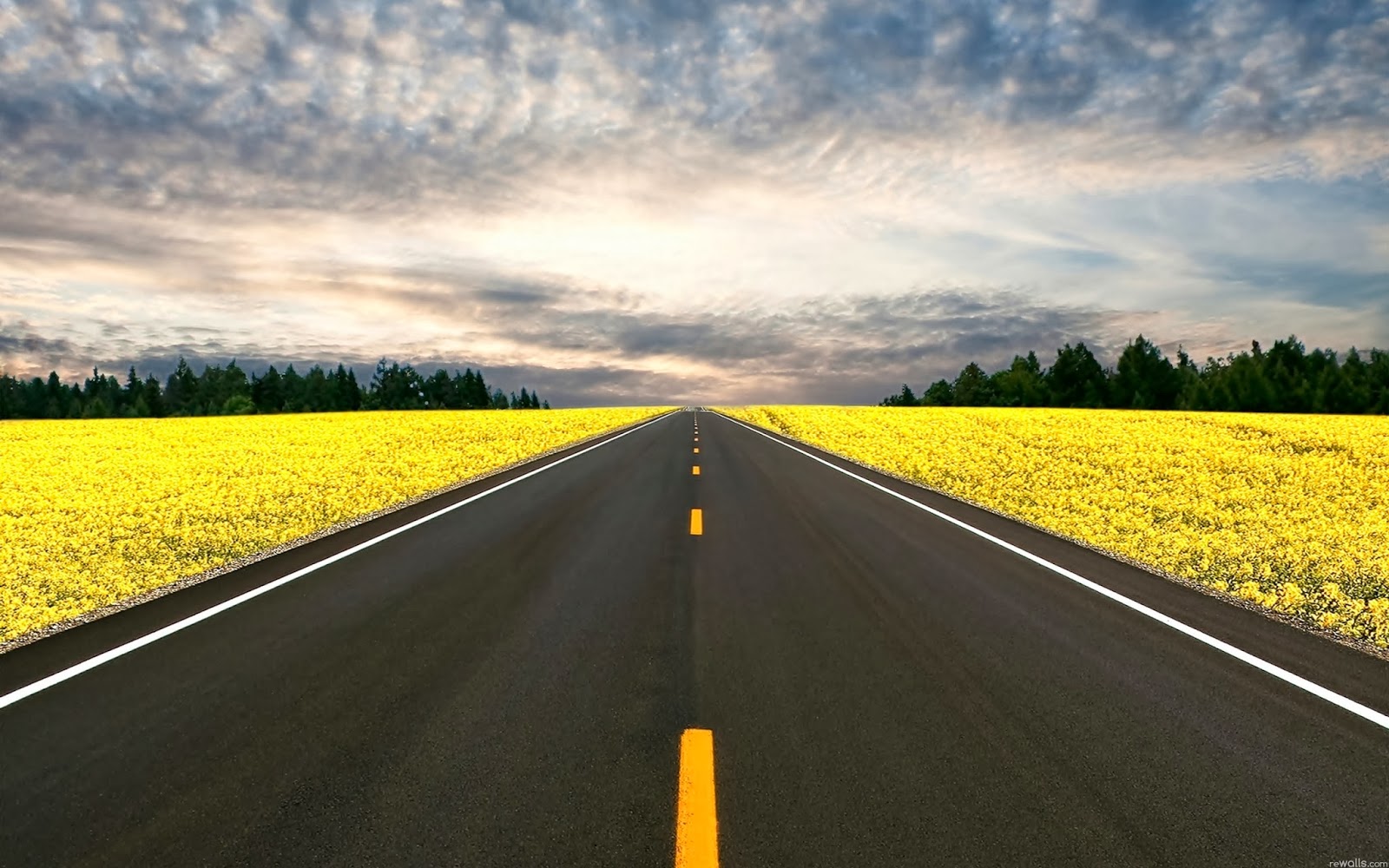 prepackagelists: Take the Clean Data path to Success