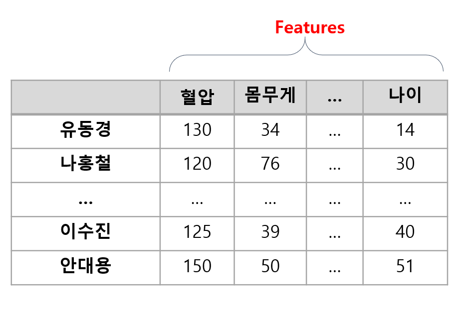 [머신러닝] 머신러닝, 딥러닝 Feature/Attribute , Class 뜻. (feat. Feature selection ...