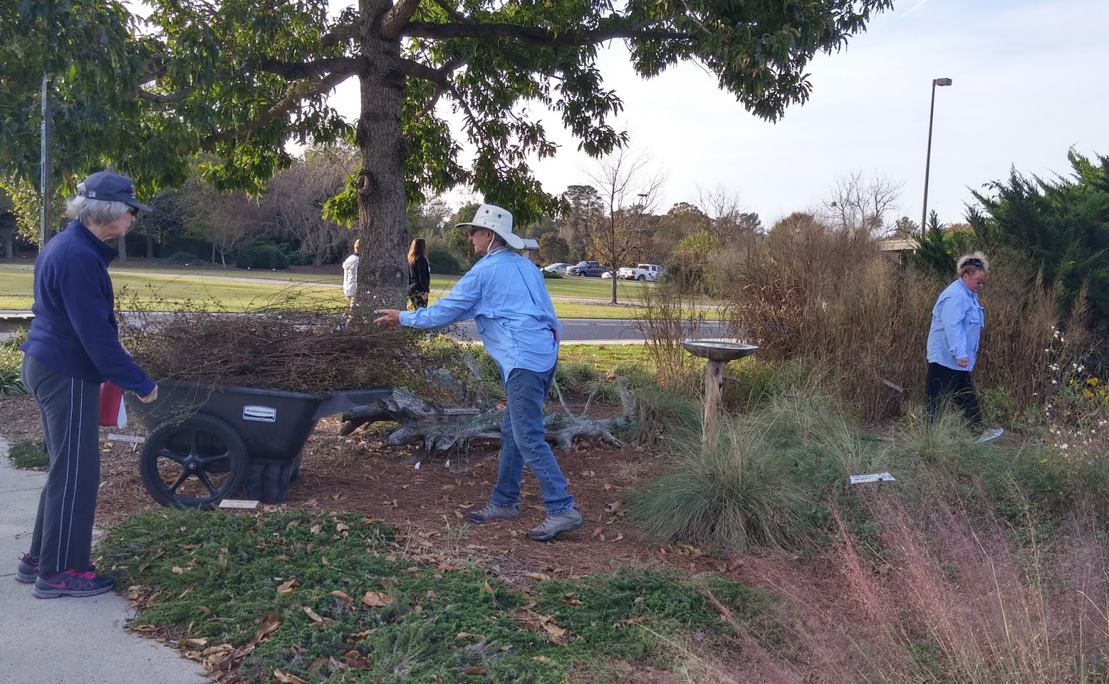 Welcome to the Pitt County Arboretum: FALL WORKDAY