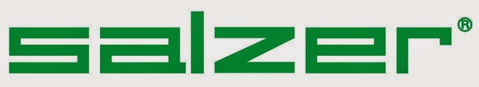 multibaggers: SALZER ELECTRONICS BUY WITH CONVICTION