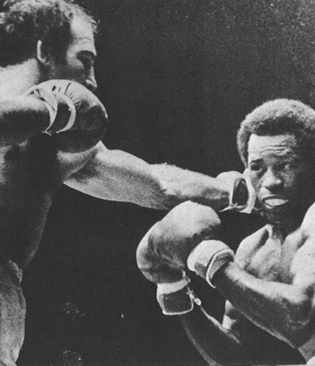 Fiesta de Scauts en el frigorífico