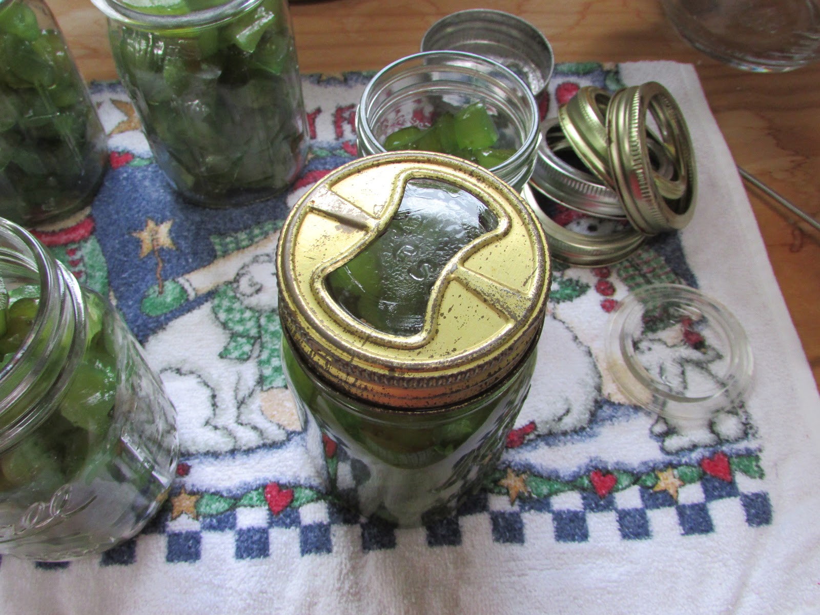 Wood Cookstove Cooking: How to Can Using Glass Canning Lids and Top ...