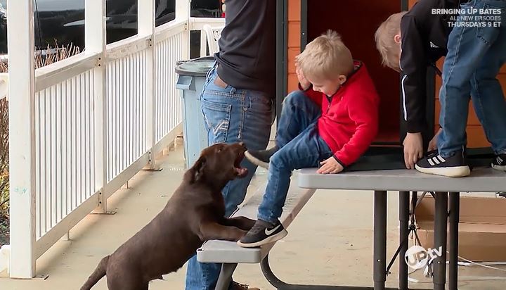 Bates Family Blog: Bates Updates and Pictures | Gil and Kelly | 19 Kids ...