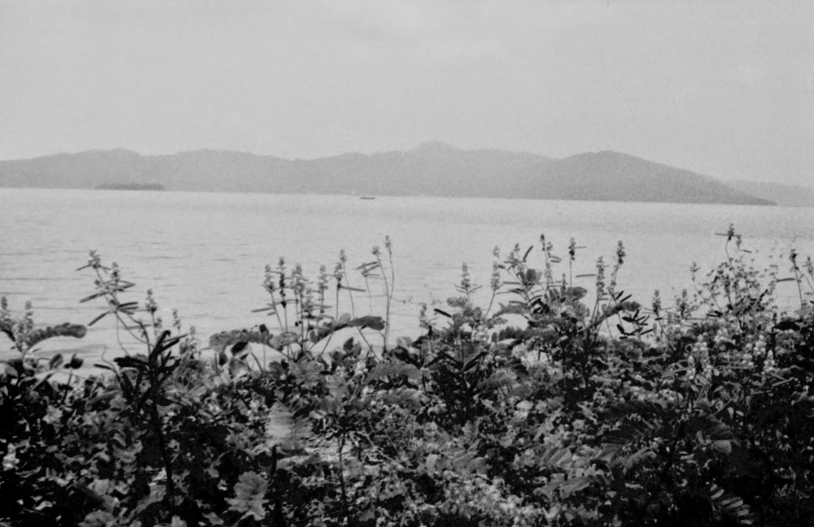 In Plain View: Jala Jala