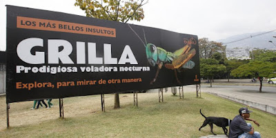 Soy grilla, y qué? : My Spanish Notes