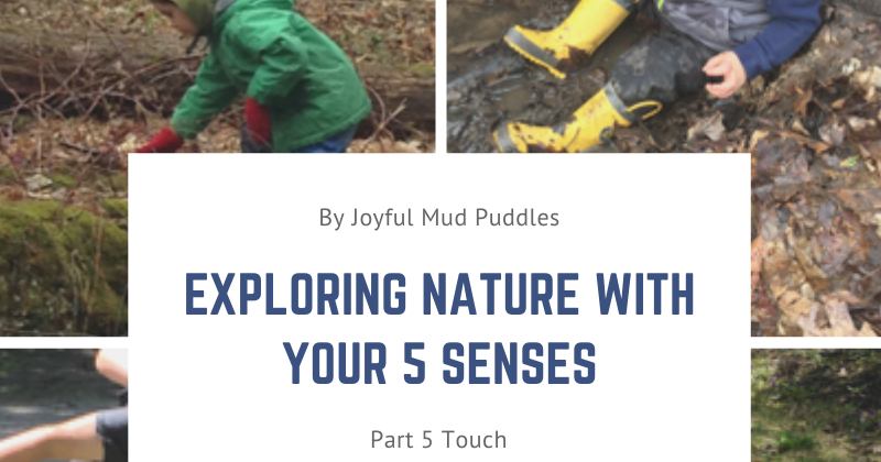 Exploring Nature with your 5 Senses (Part 5 Touch)