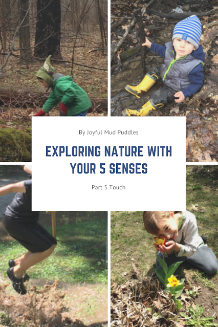 Exploring Nature with your 5 Senses (Part 5 Touch)