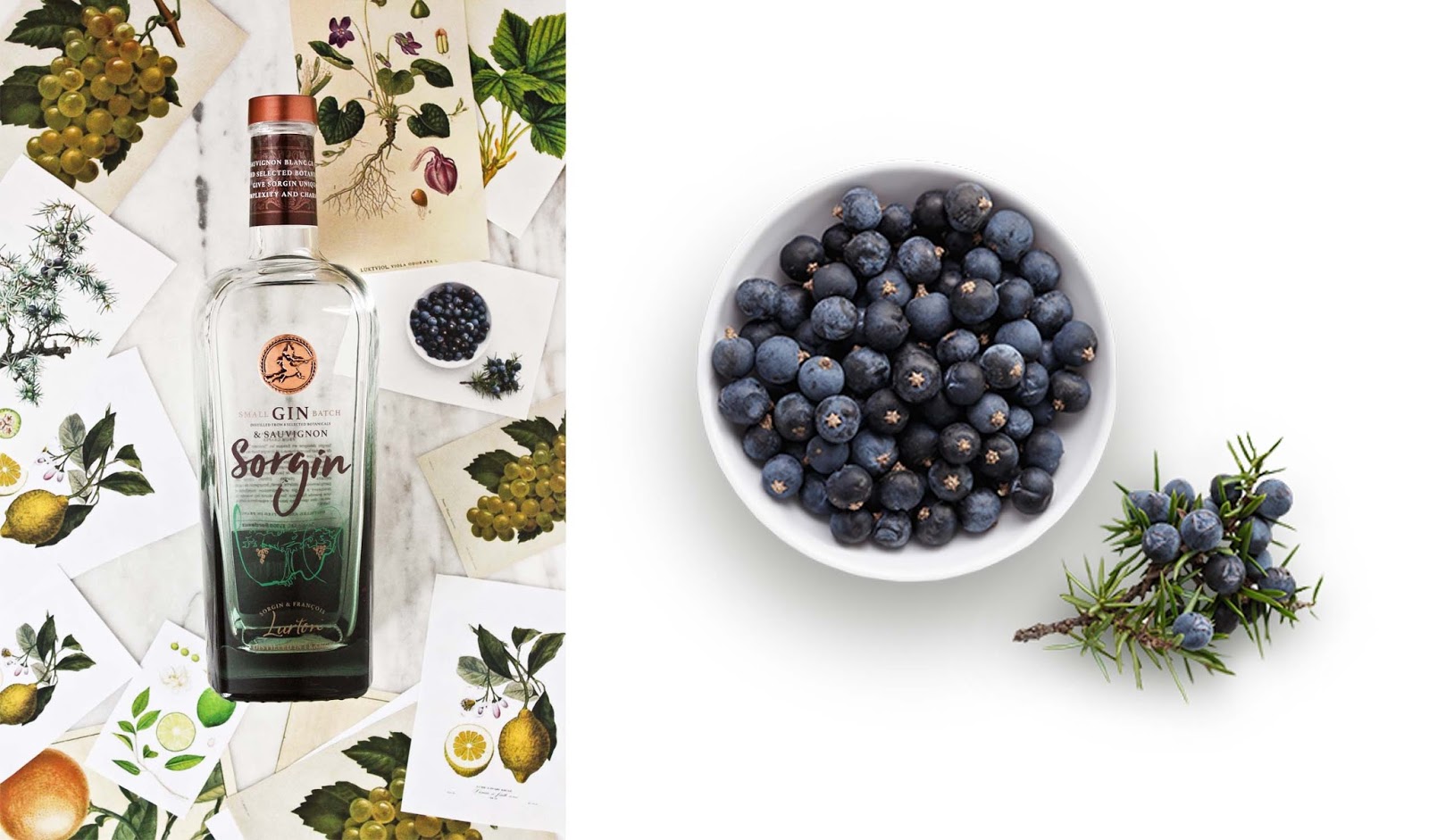 Sorgin, un gin très très Sud-Ouest