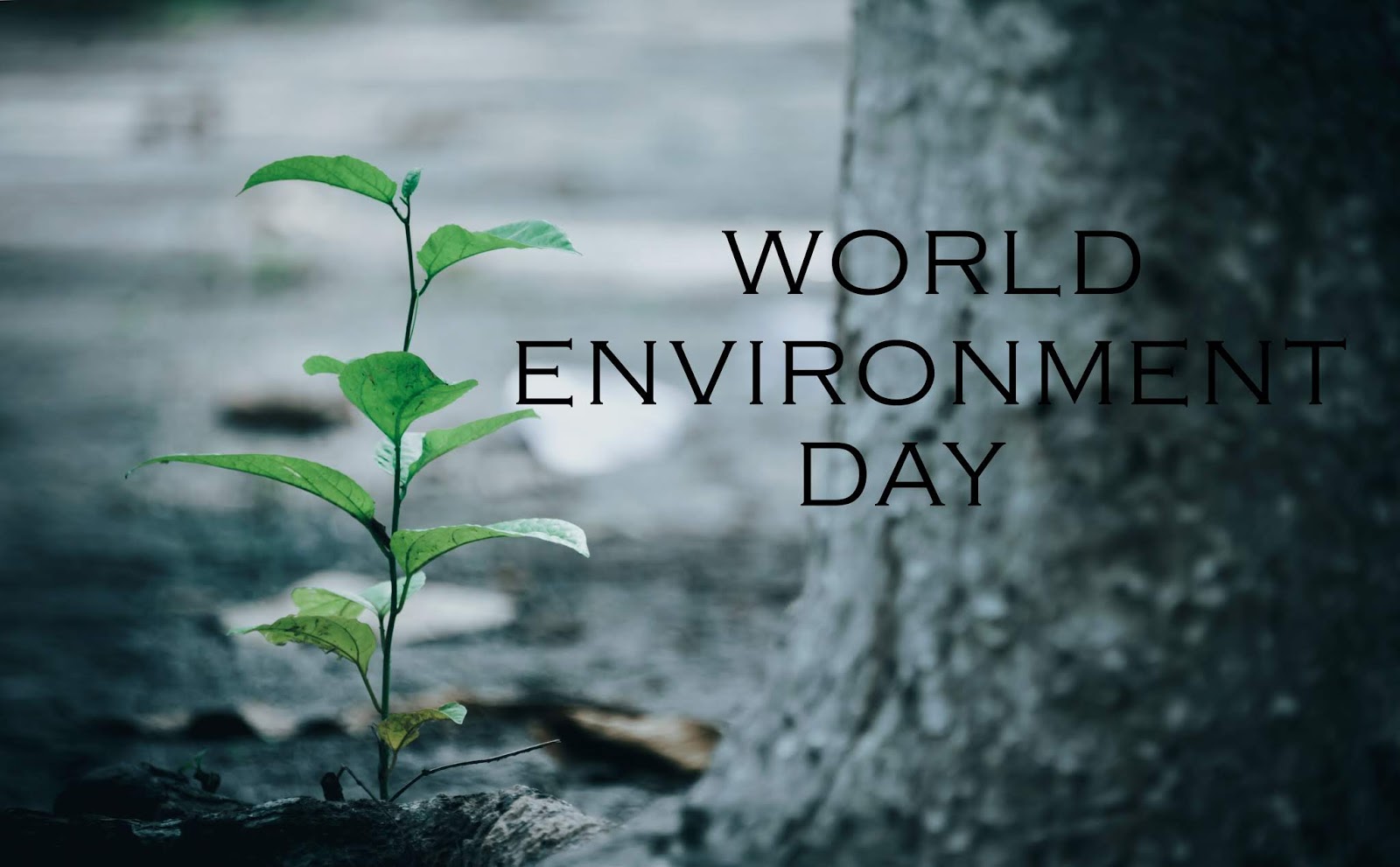 pixel caption: 50+ world environment day 2020 image free download ...