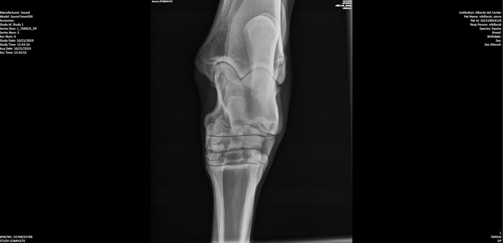 An Inside Look: Sierra's Hocks