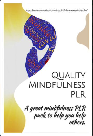 What is Mindfulness PLR