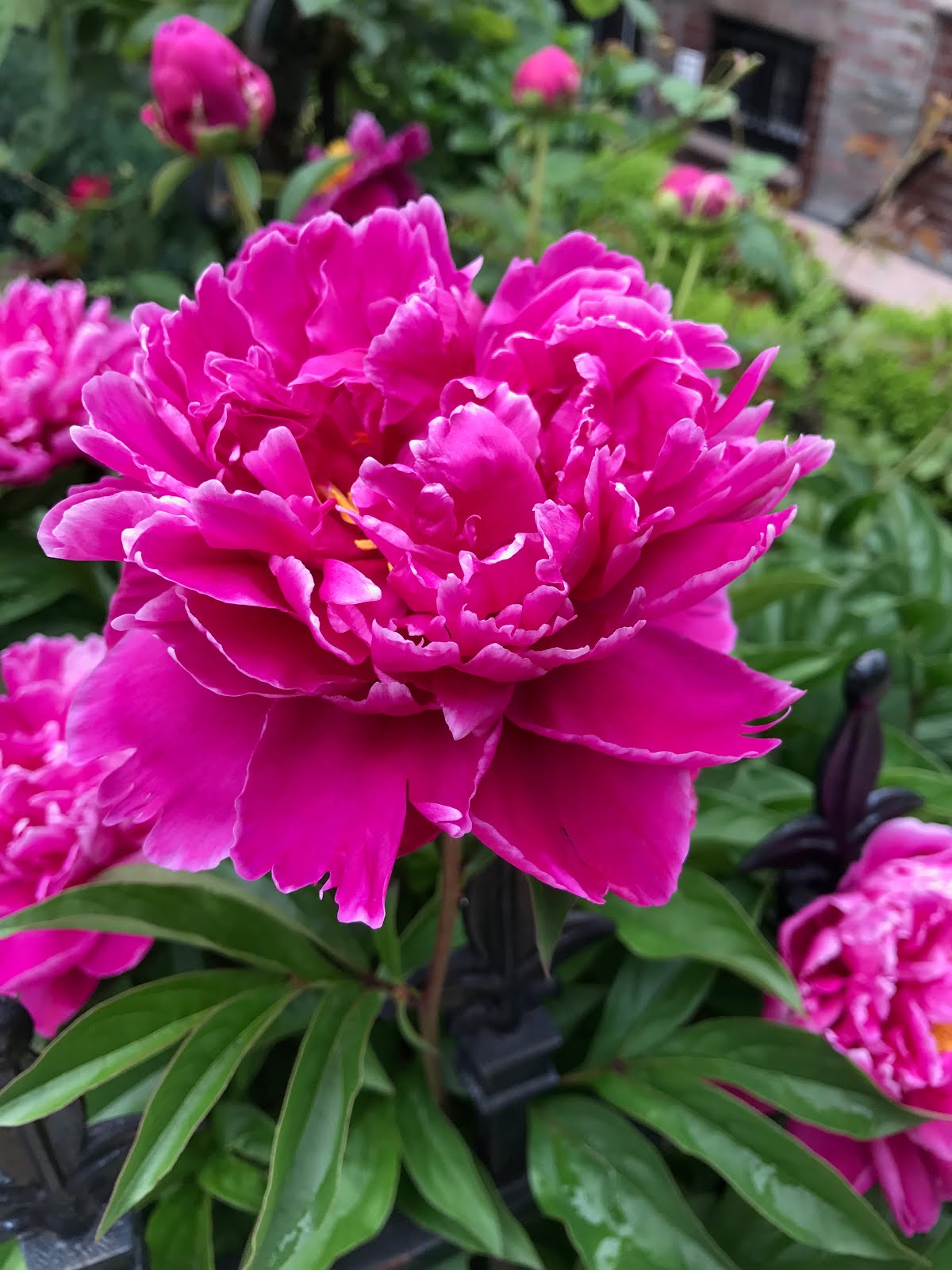 Hello Spring 2020 | Julie's Creative Lifestyle