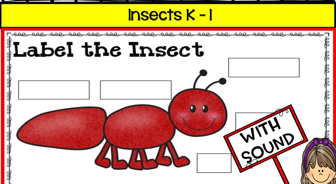 New Boom Cards for Spring - Pint Size Learners