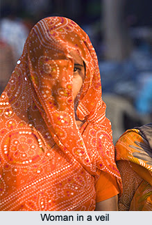 Inspirasi Purdah System
