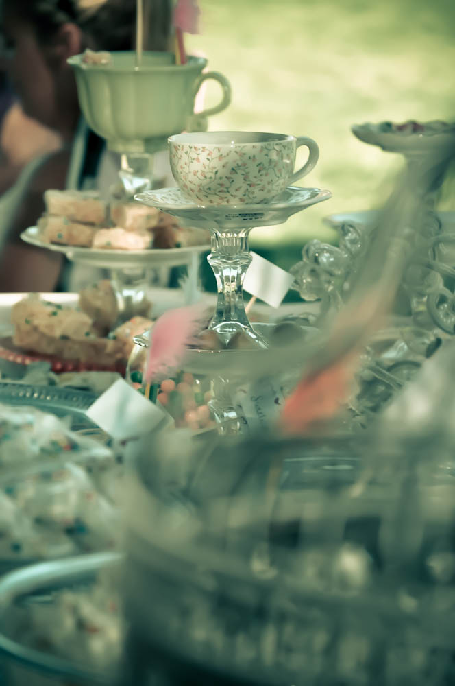 Mommy like Whoa: Alice Tea Party for under $300!