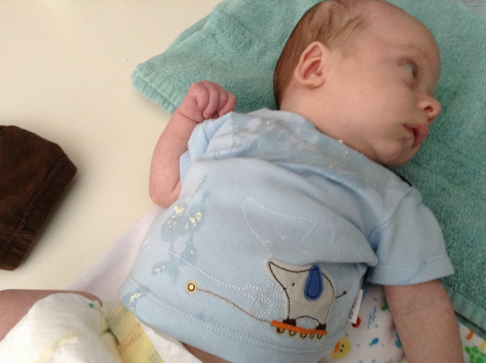 Hanging with the Houstons: A Day in the Life of Zander Houston