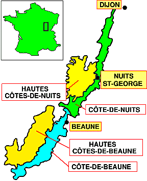 Wine Dine and Play: Wine