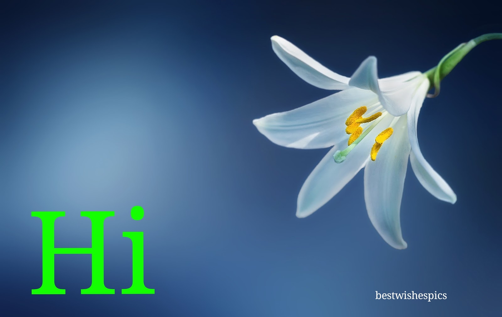 Top 10 Hi Images, Greetings, Pictures for whatsapp Facebook - Good Morning