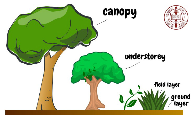 Unit 1 - 1.1 - Explain the vertical and horizontal ecological ...