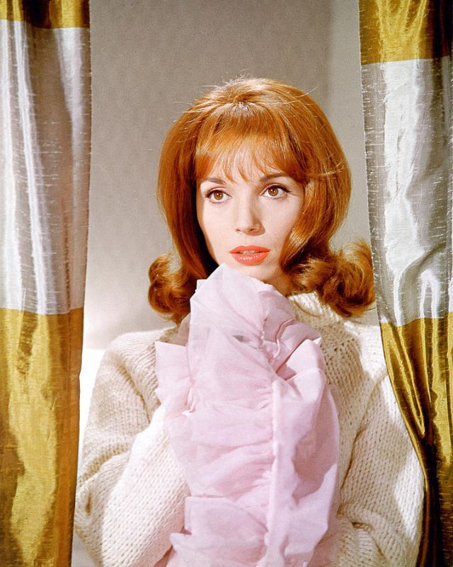 Italian Classic Beauty: 50 Glamorous Photos of Elsa Martinelli in the ...